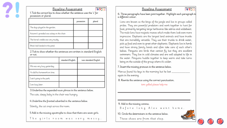 Year 5 Baseline Assessment – Easy Education Grammar