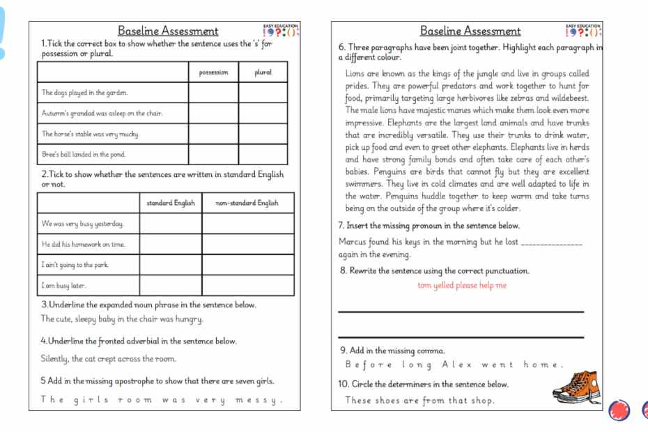 Baseline Assessments – Easy Education Grammar